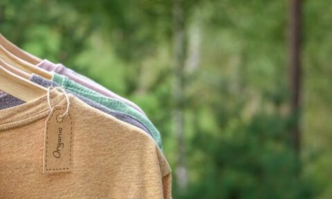 Ropa Ecológica: Características y Principios | Des Arts